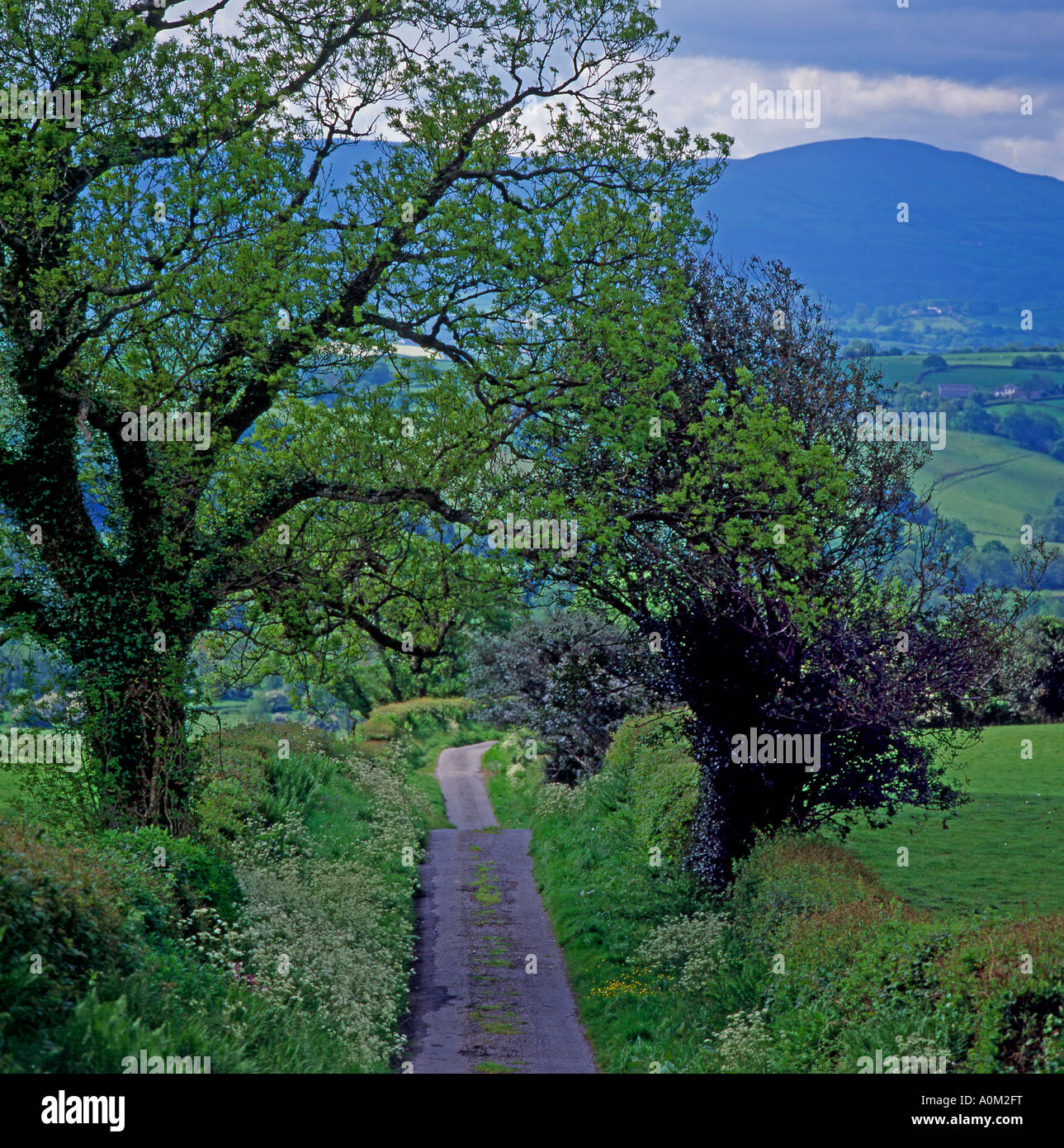 West oak lane hi-res stock photography and images - Alamy