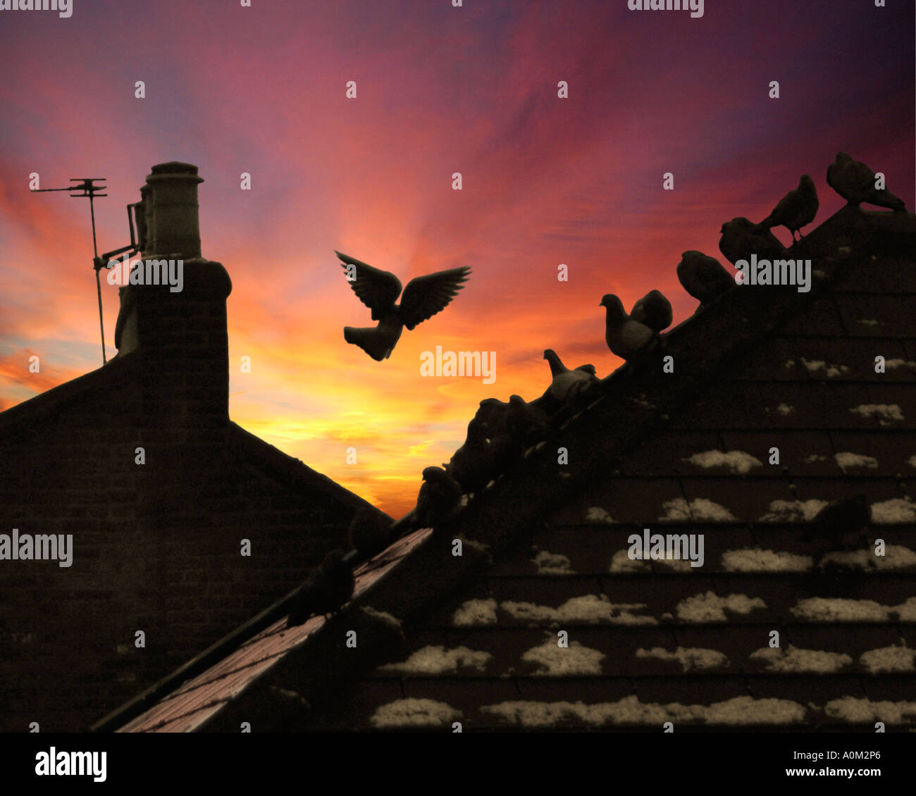 London rooftops city ariel hi-res stock photography and images - Alamy