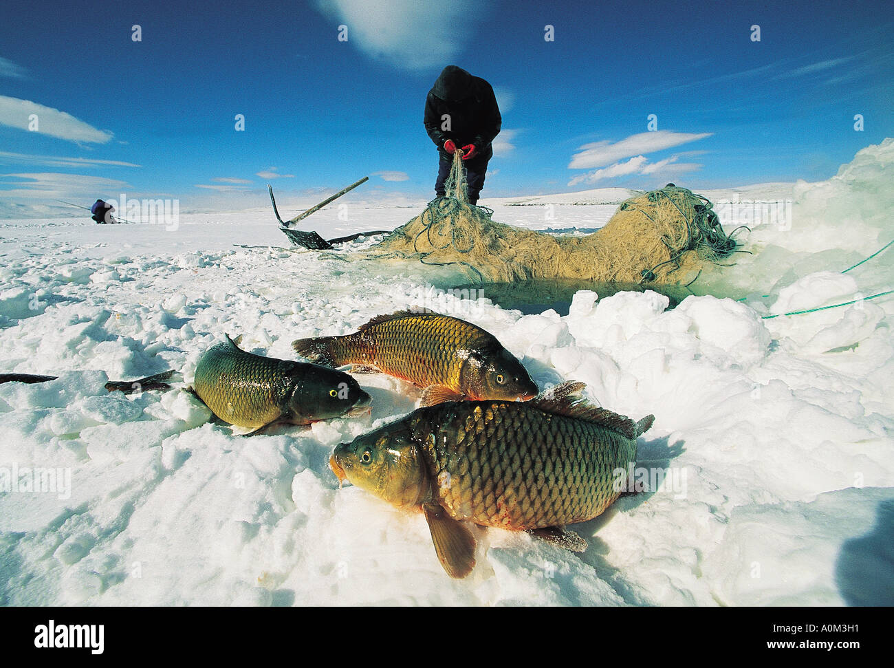 Cildir Kars Turkey High Resolution Stock Photography and Images - Alamy