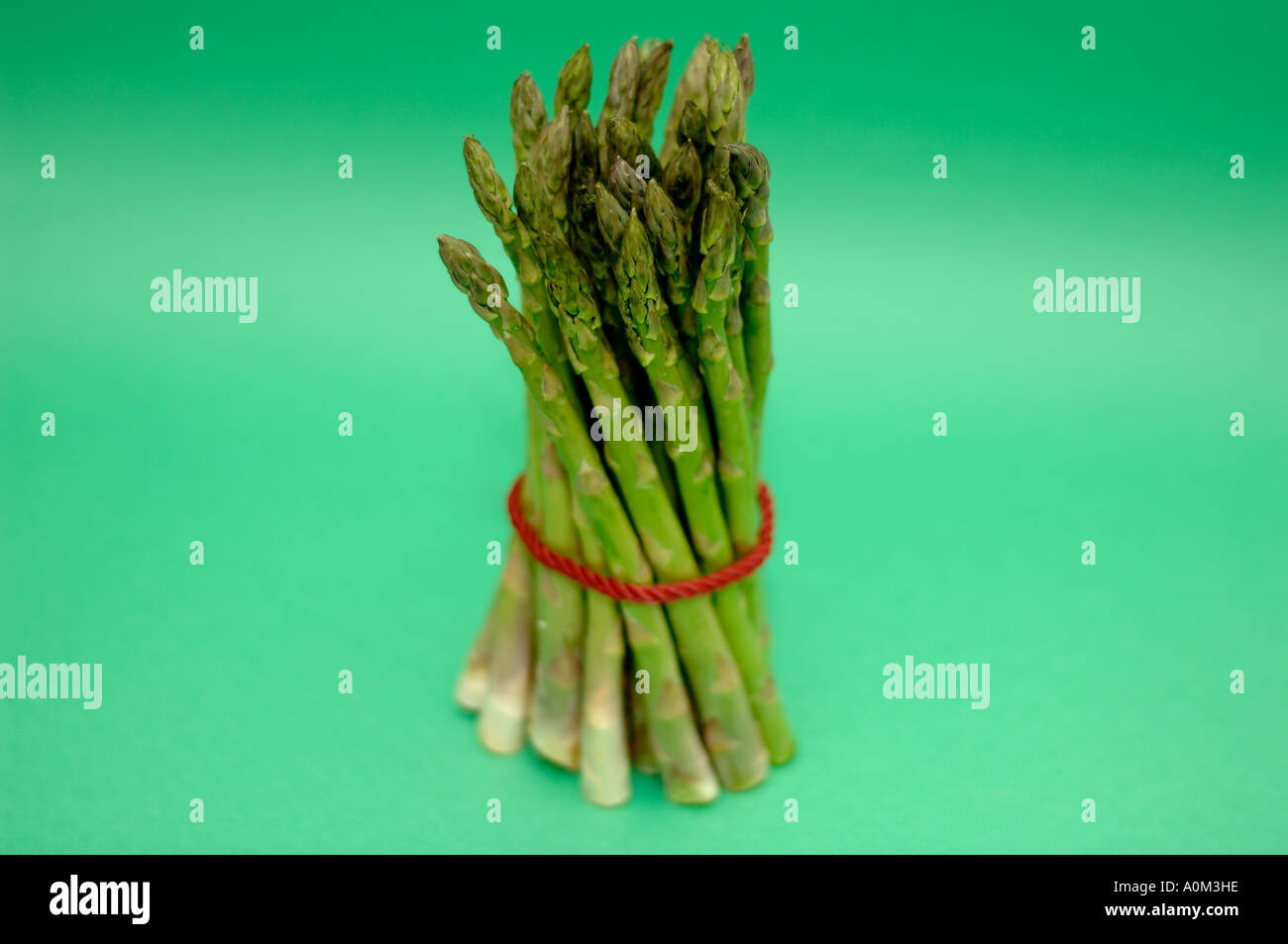 Bundle of asparagus tied Stock Photo - Alamy