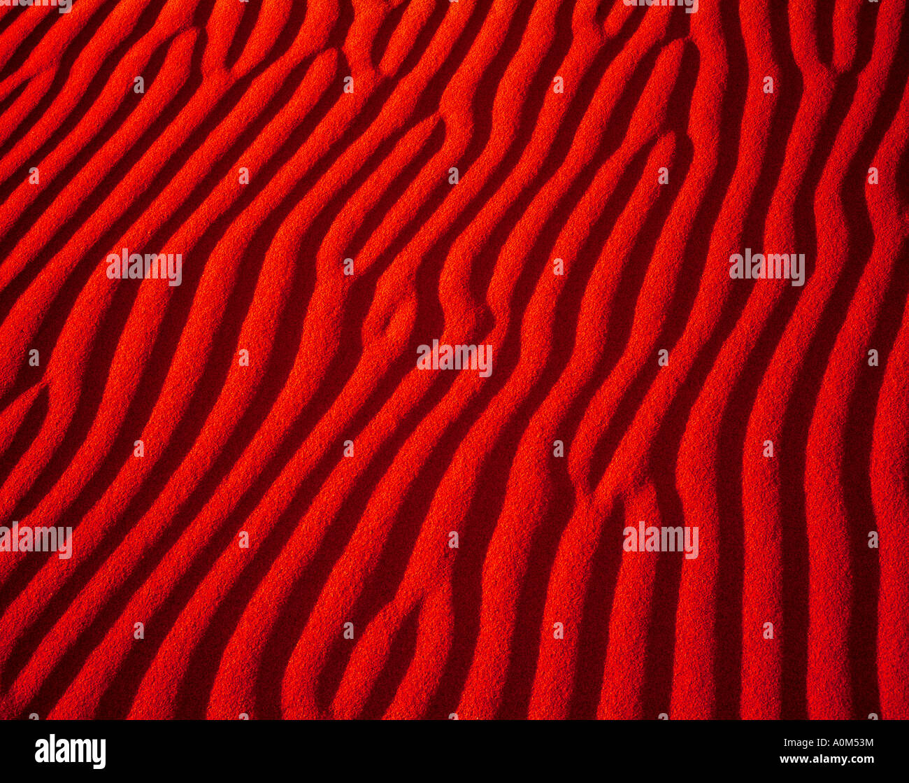 Patterns of nature include wind blown sand dunes in the American ...