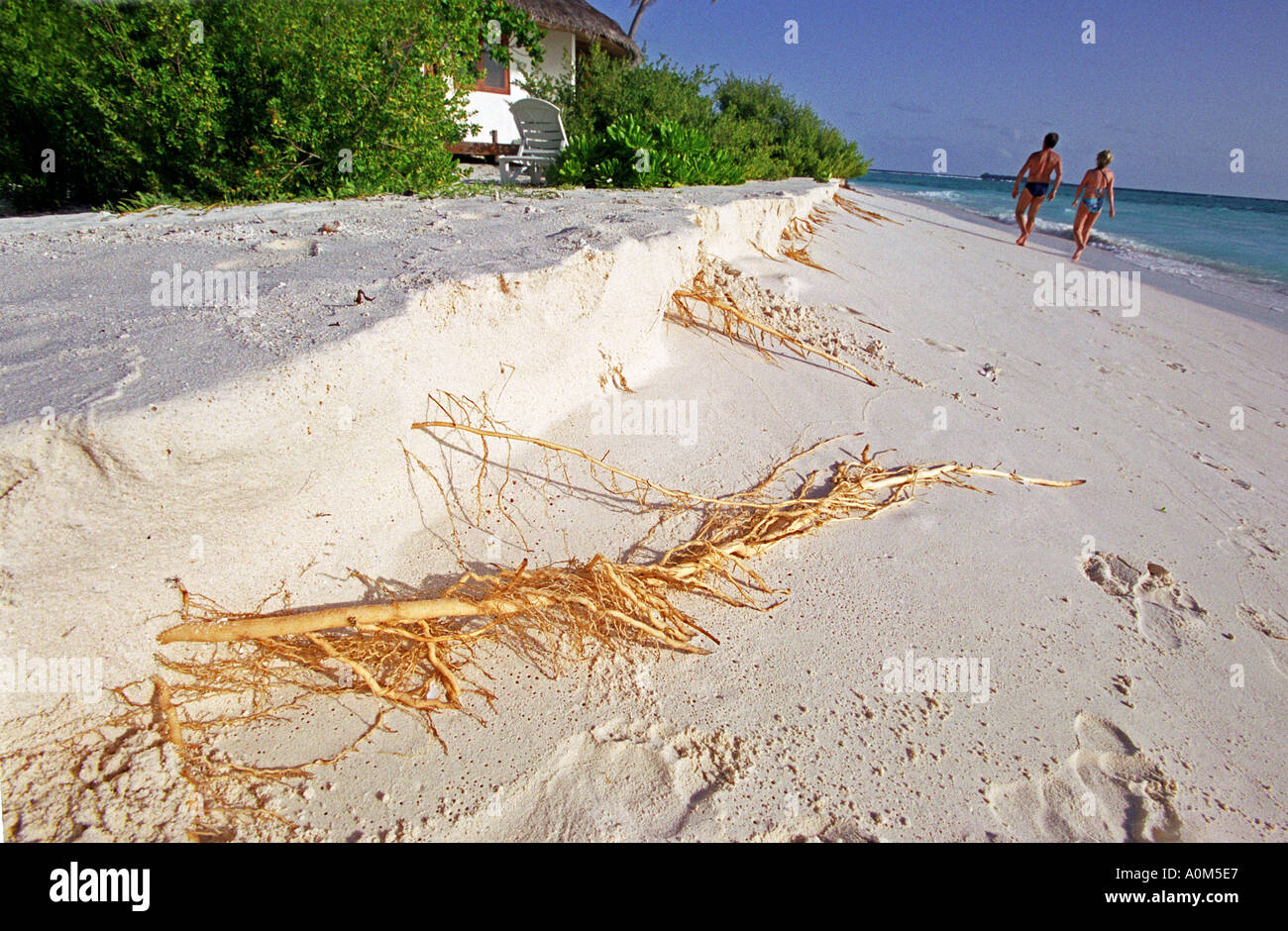 Beach erosion maldives sand hi-res stock photography and images - Alamy Beach erosion maldives sand hi-res stock photography and images - Alamy