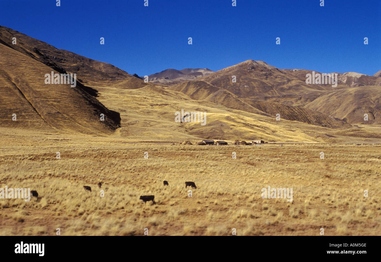 Mountains and farming land of the pampa in south Peru Stock Photo - Alamy