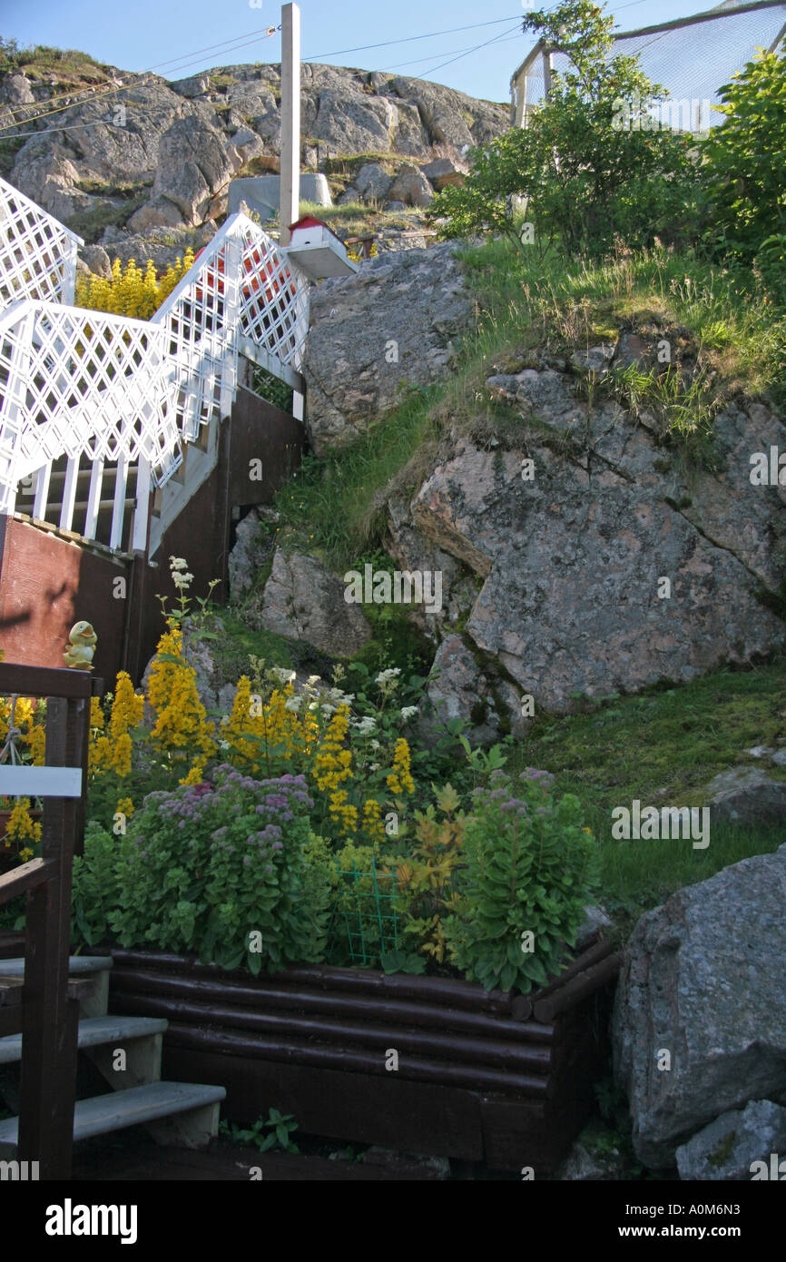 Rocky Backyard in McCallum Newfoundland Stock Photo - Alamy