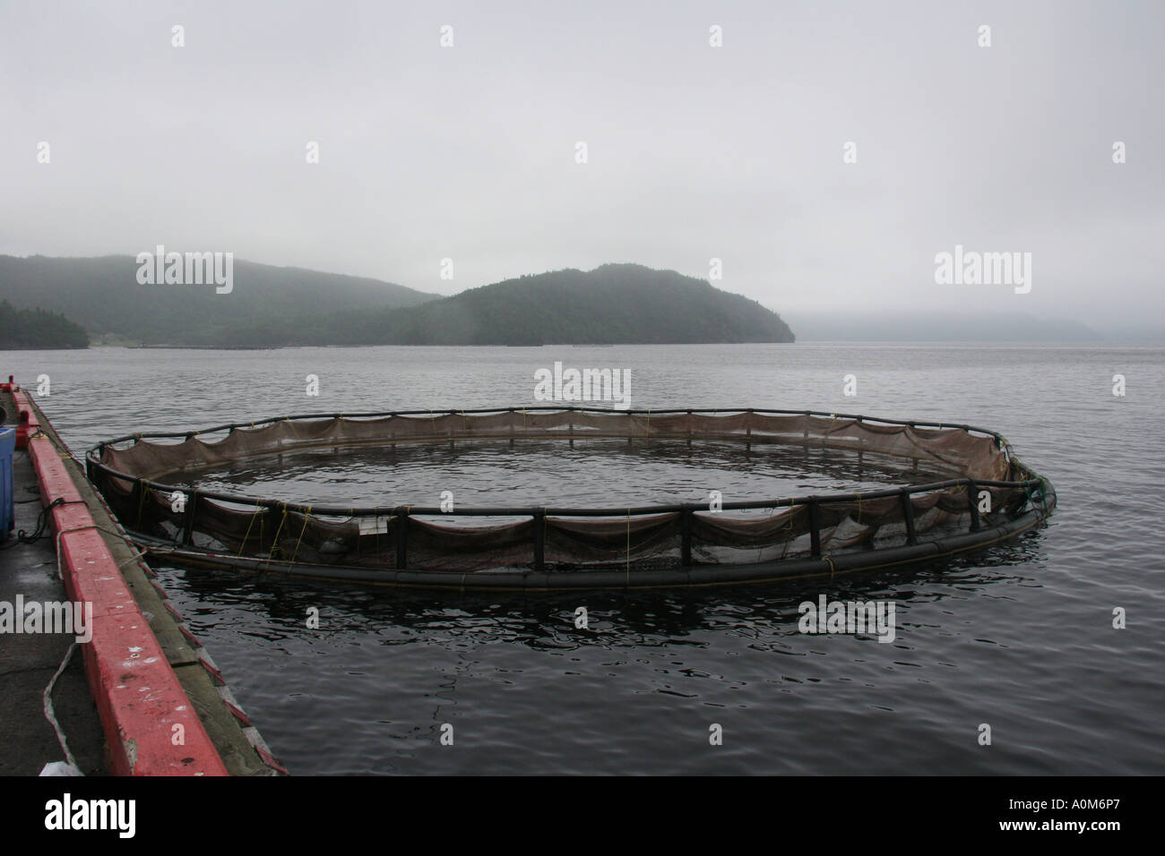 Fish Pen High Resolution Stock Photography and Images - Alamy