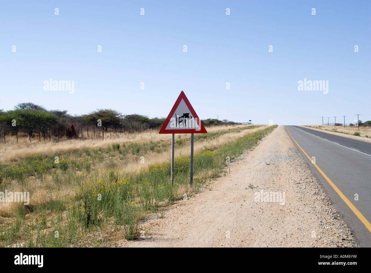 Warthog Warning Road Sign Namibia Stock Photo - Alamy