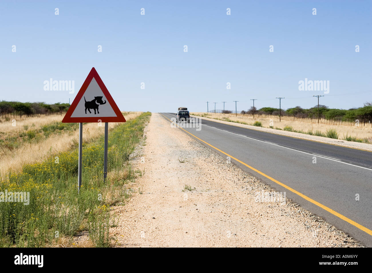 Warthog Warning Road Sign Namibia Stock Photo - Alamy