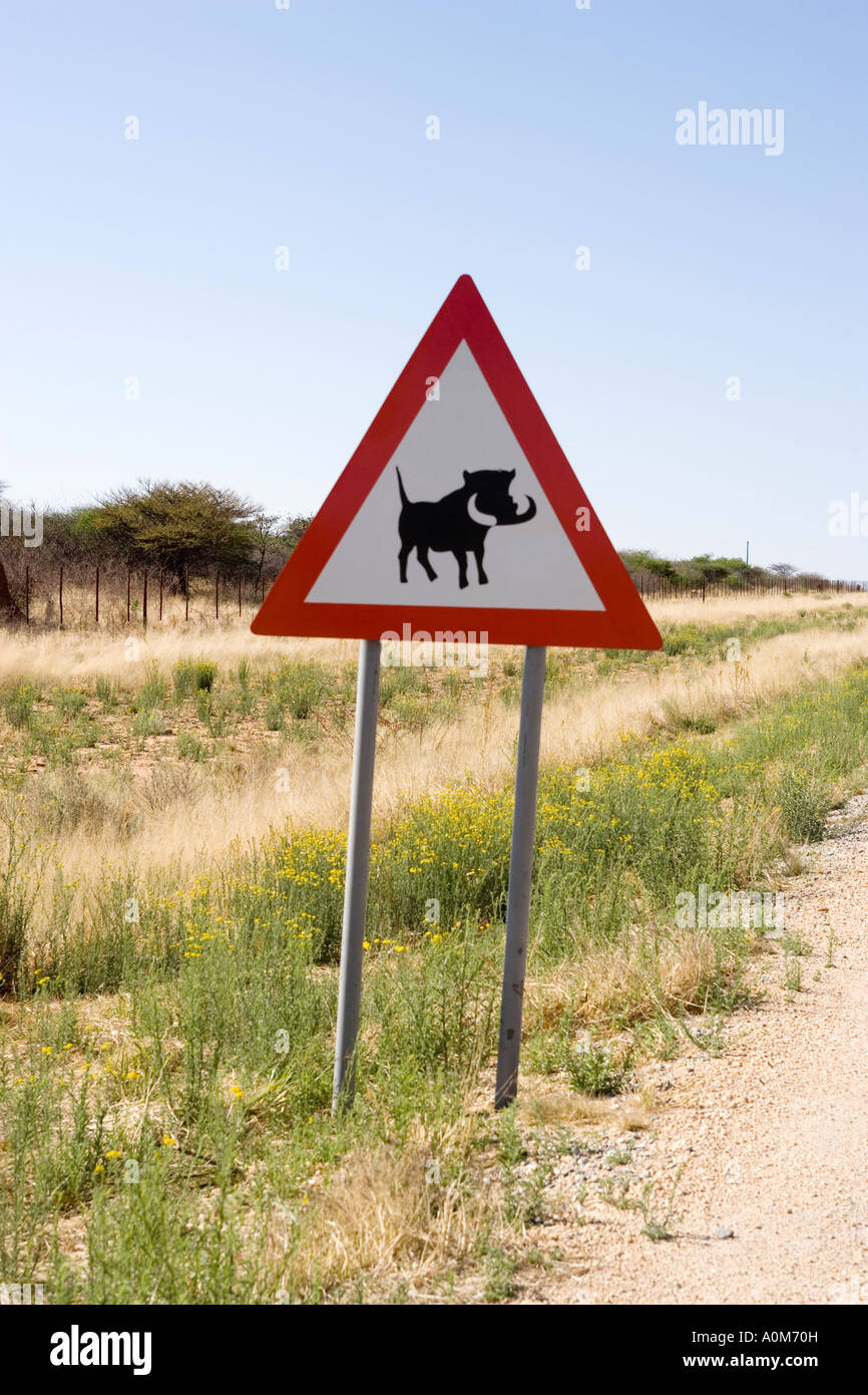 Warthog Warning Road Sign Namibia Stock Photo - Alamy