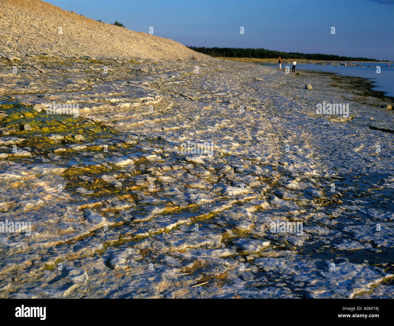 Limestone and landscape Stock Photo - Alamy