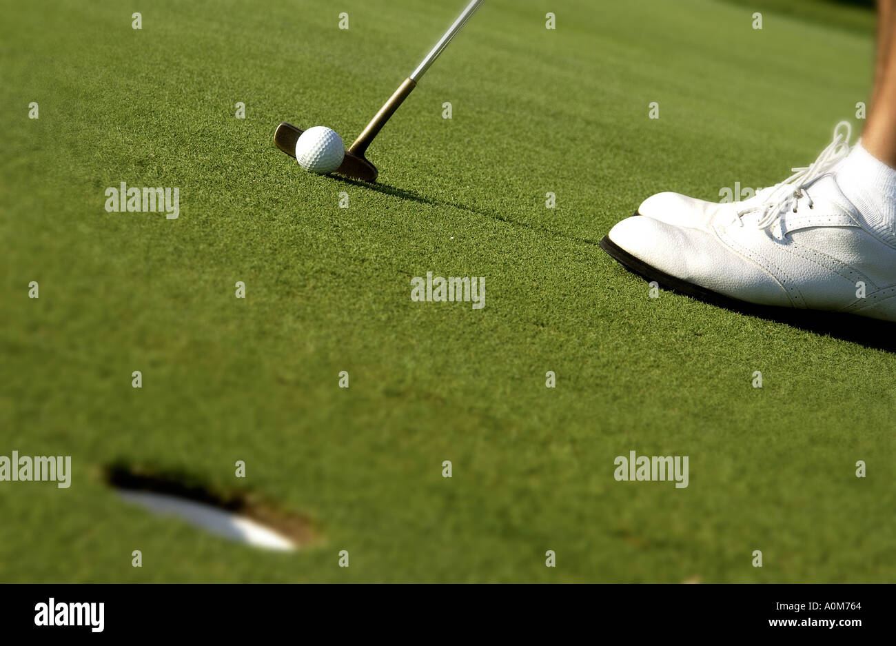 Putting a golf ball into the hole Stock Photo - Alamy