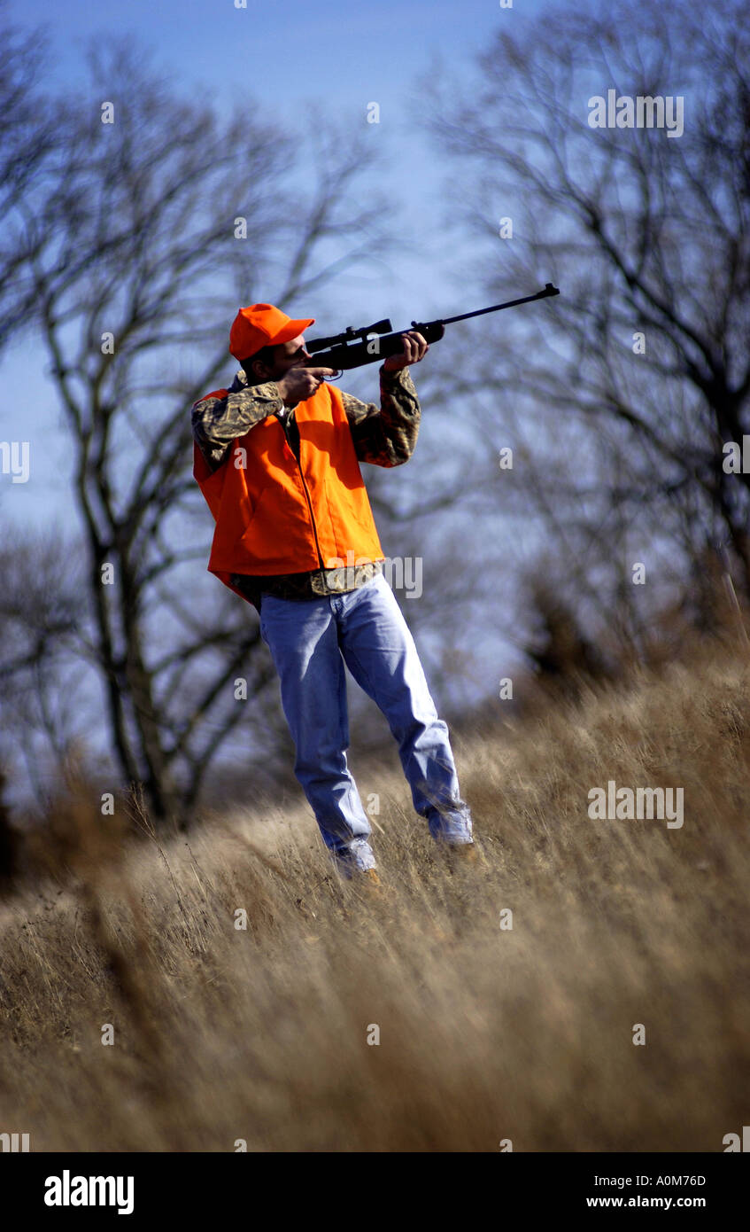 Shotgun marksmanship hi-res stock photography and images - Alamy