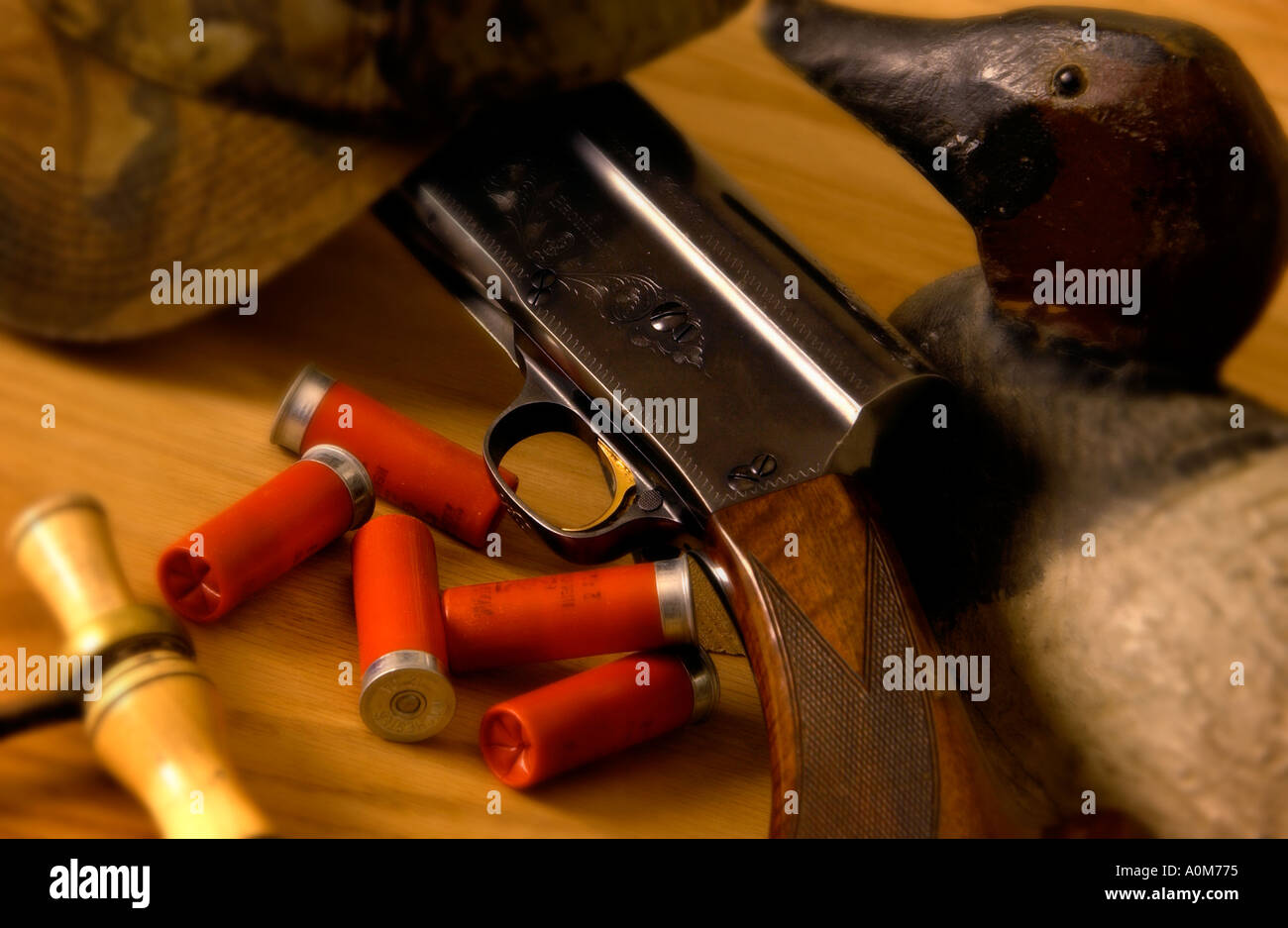 Shotgun marksmanship hi-res stock photography and images - Alamy