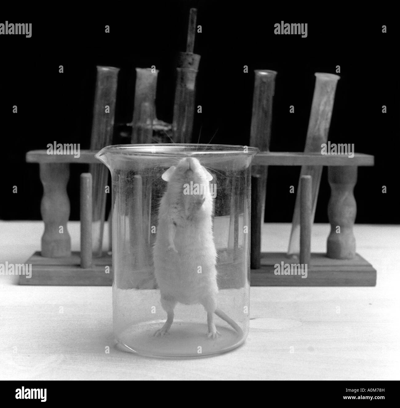 Vivisection hi-res stock photography and images - Alamy