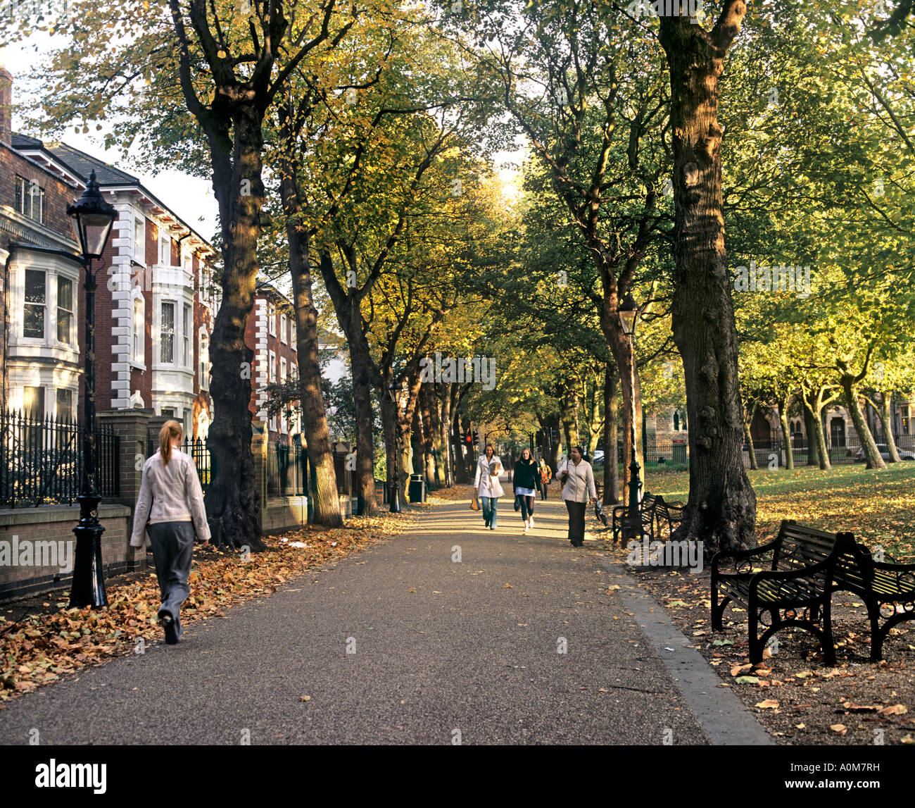 Autumn colours in New Walk, a pedestrian route near the centre of ...