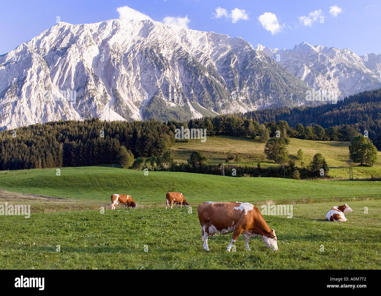 Rural and pastoral scenery hi-res stock photography and images - Alamy