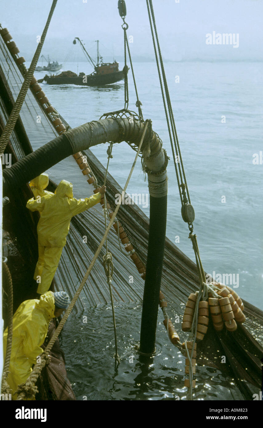 Peru 1968 Anchovy fishing. Hauling in the nets off the Pacific coast ...