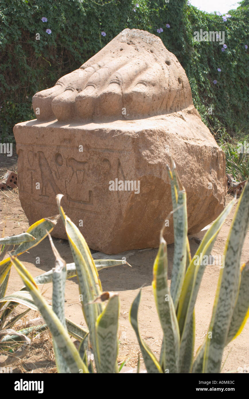 A foot of a statue at Tanis in the Eastern Delta of the Nile Stock ...