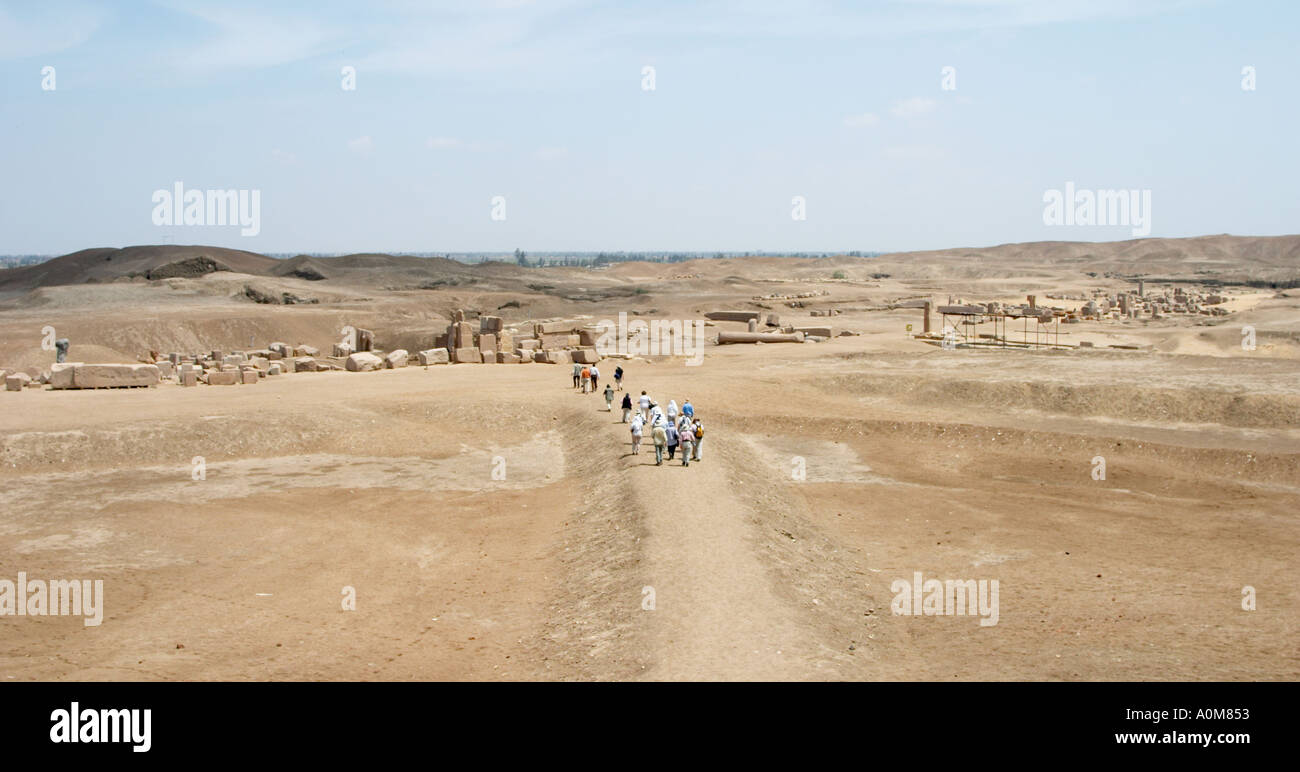 Tanis in the Eastern Delta of the Nile Stock Photo - Alamy