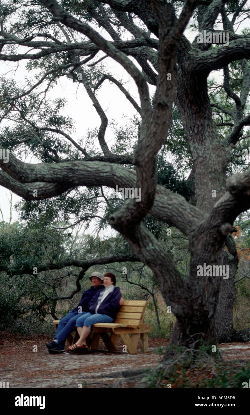 Man sitting under oak tree hi-res stock photography and images - Alamy