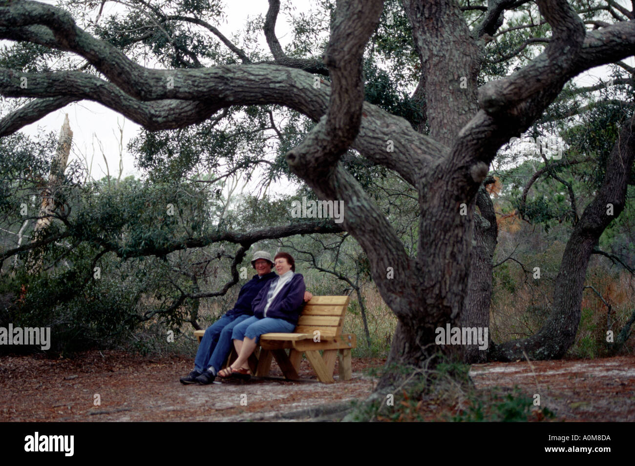 Retired Couple under live oak tree Stock Photo - Alamy
