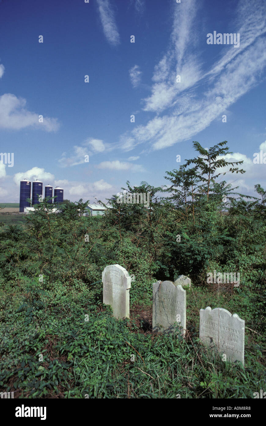 family grave graveyard farm color grave graveyard cemetery monument ...