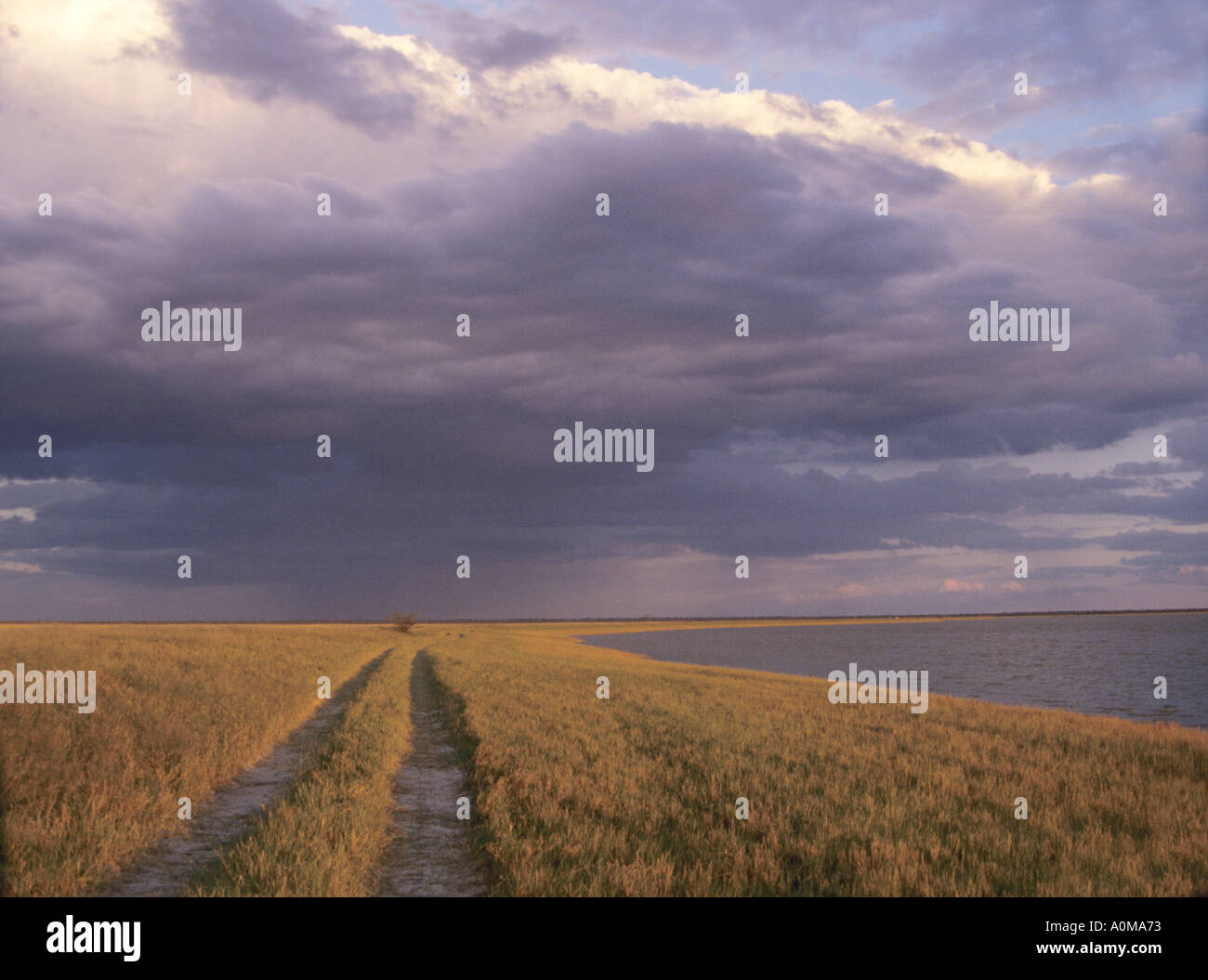 Storm clouds over savanna hi-res stock photography and images - Alamy