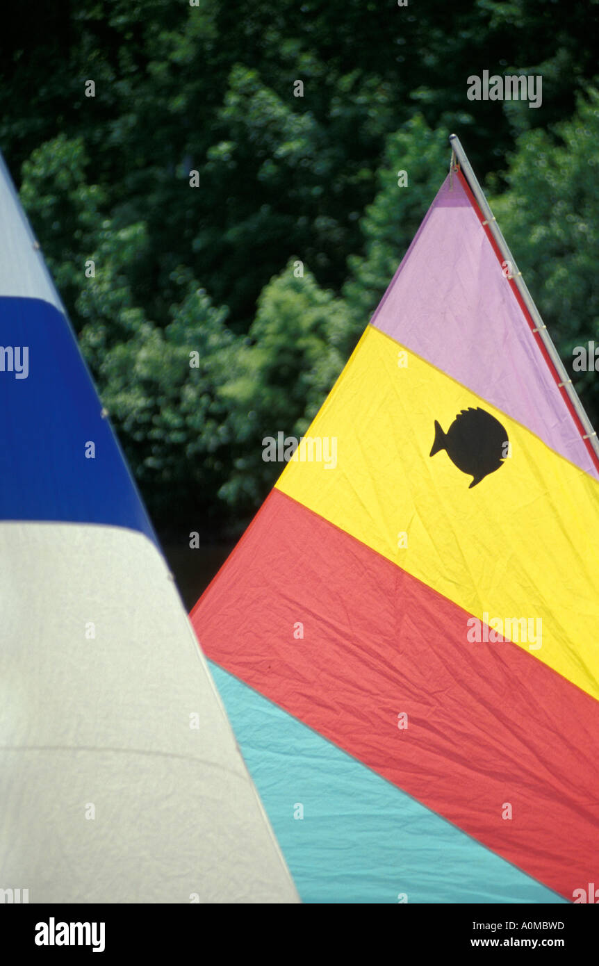 2 two sunfish sails boat boating vacation travel tourism tourist tour ...