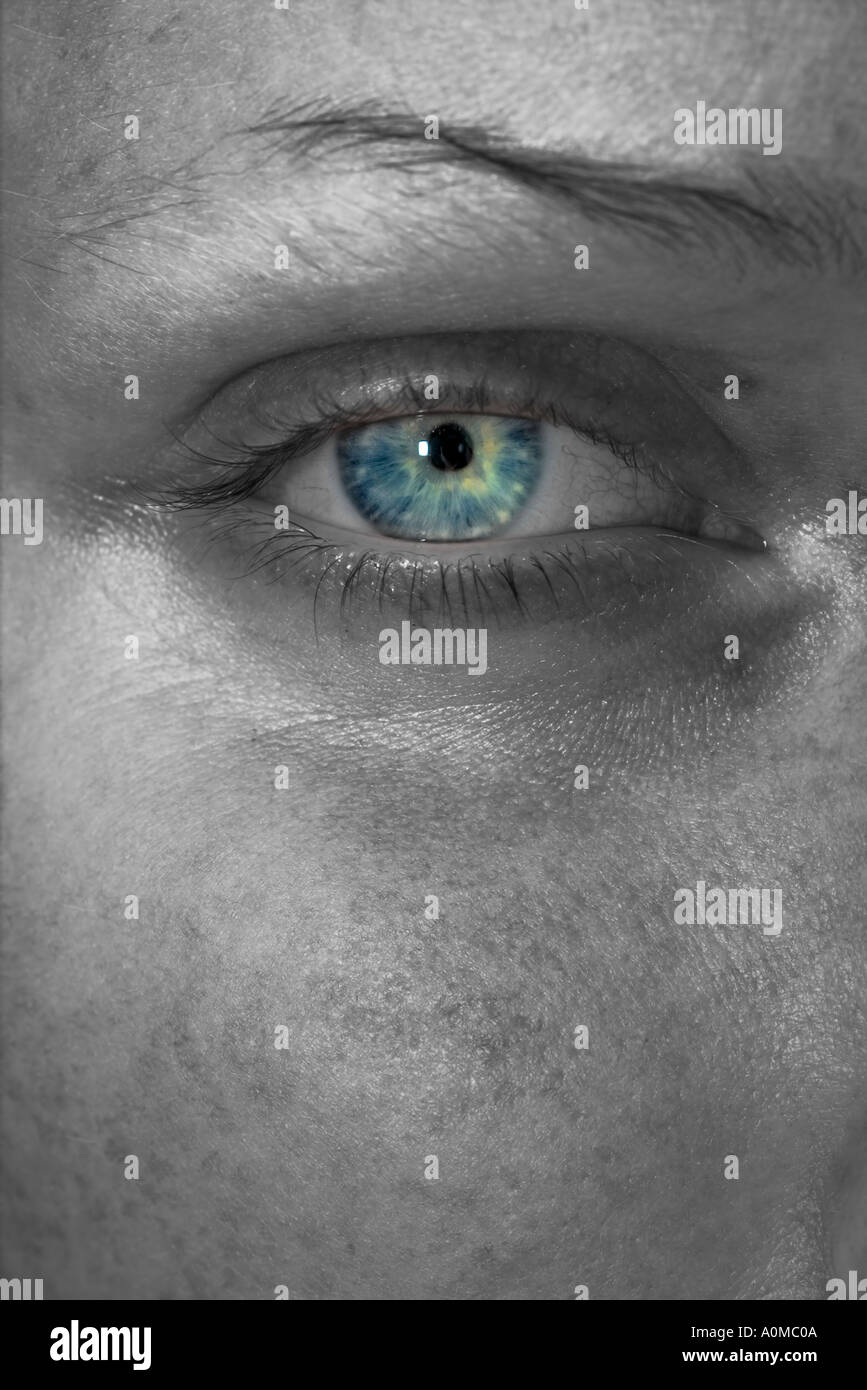 Eye with vertical pupil hi-res stock photography and images - Alamy
