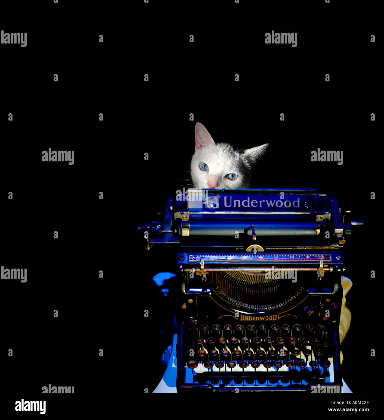 Cat and Typewrite Animals and Technology Stock Photo - Alamy