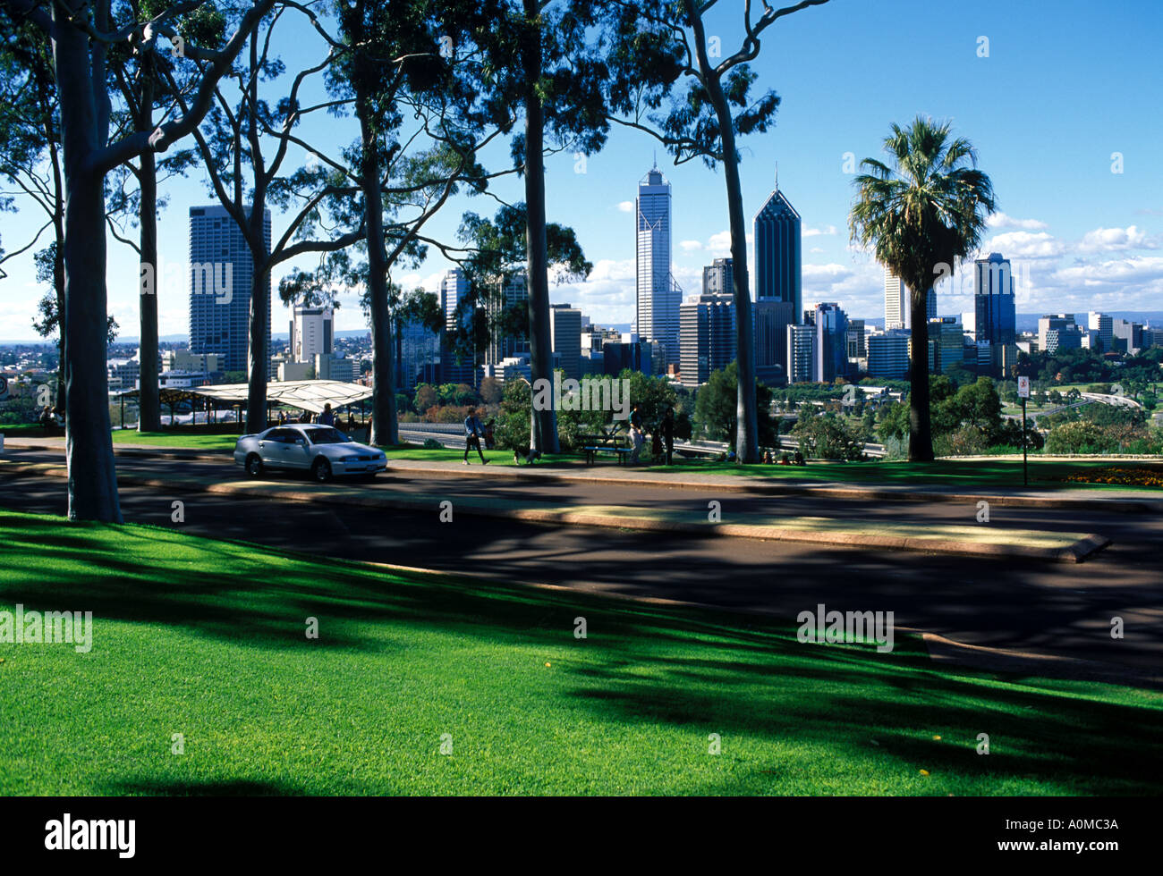 Perth taken from Kings Park which is beautiful park overlooking the ...