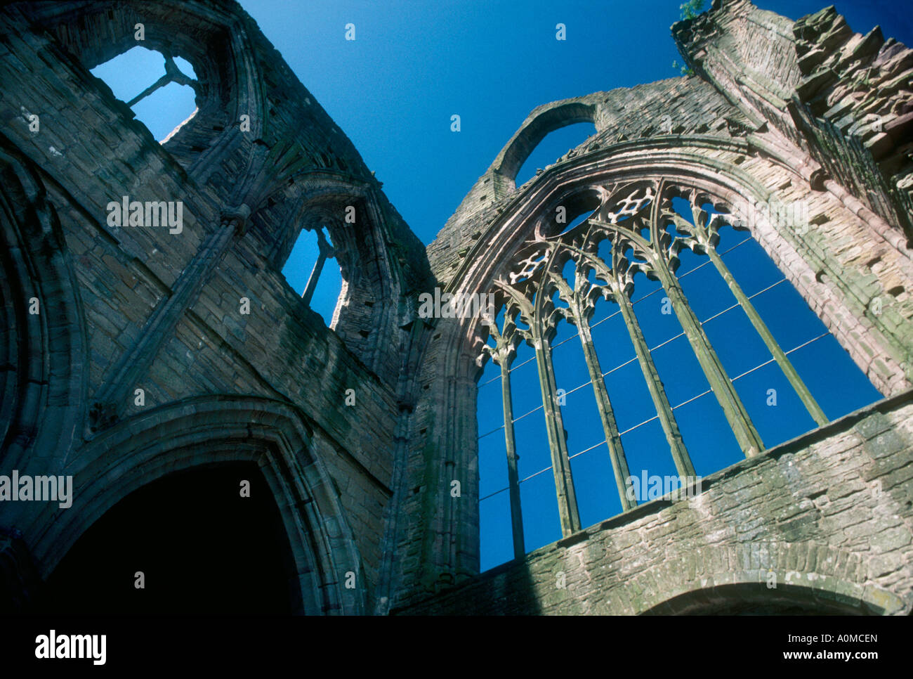 Ruins of arched window looking up to blue sky, Tintern Abbey, Wales ...