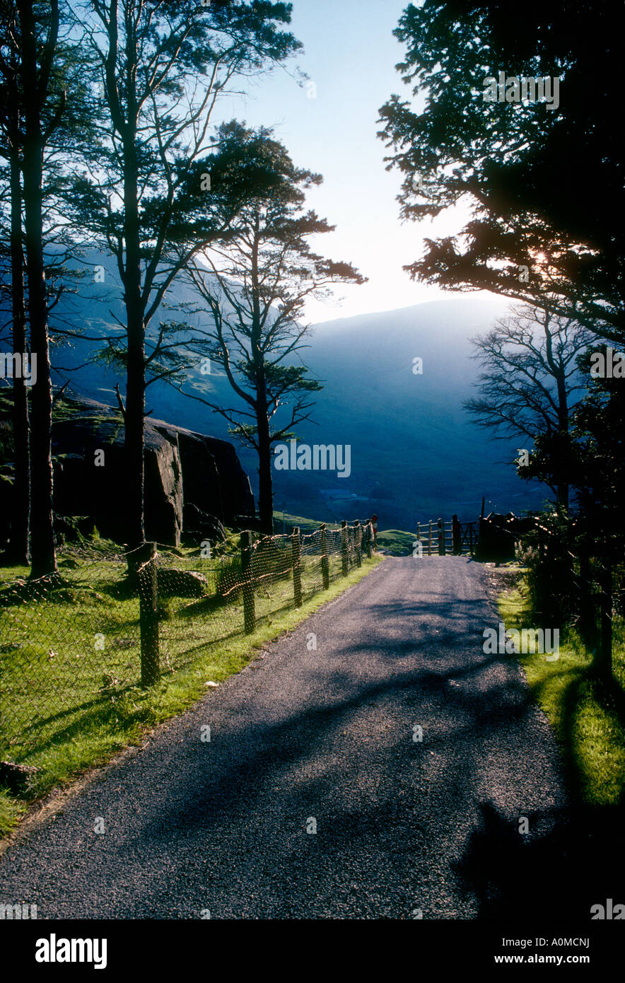 Country road in rural North Wales Stock Photo - Alamy
