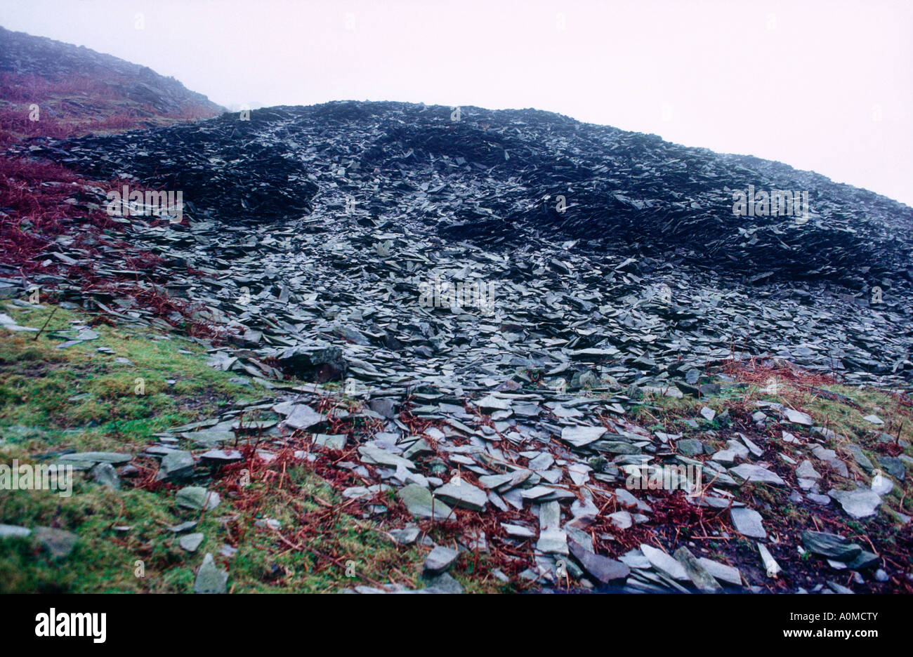 Shaly Welsh slate mountain hilltop, North Wales Stock Photo: 10026986 ...