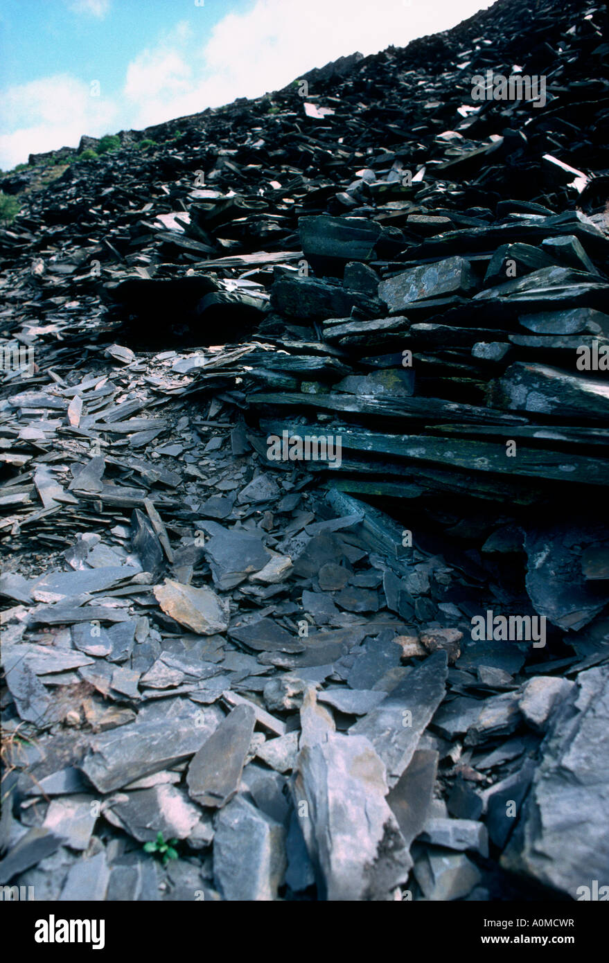 Shaly Welsh slate mountain hilltop, North Wales Stock Photo - Alamy