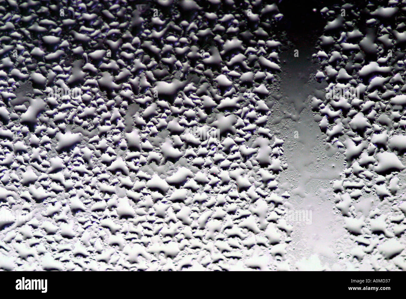 Water Drops On Glass Condensation Photo Photos Stock Photo - Alamy