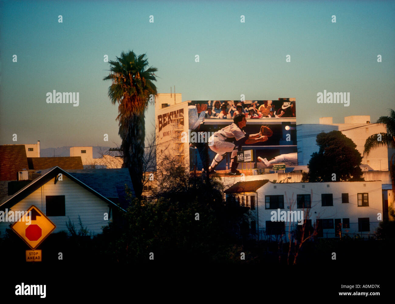 Late afternoon warm sunlit American baseball billboard and palm tree in ...