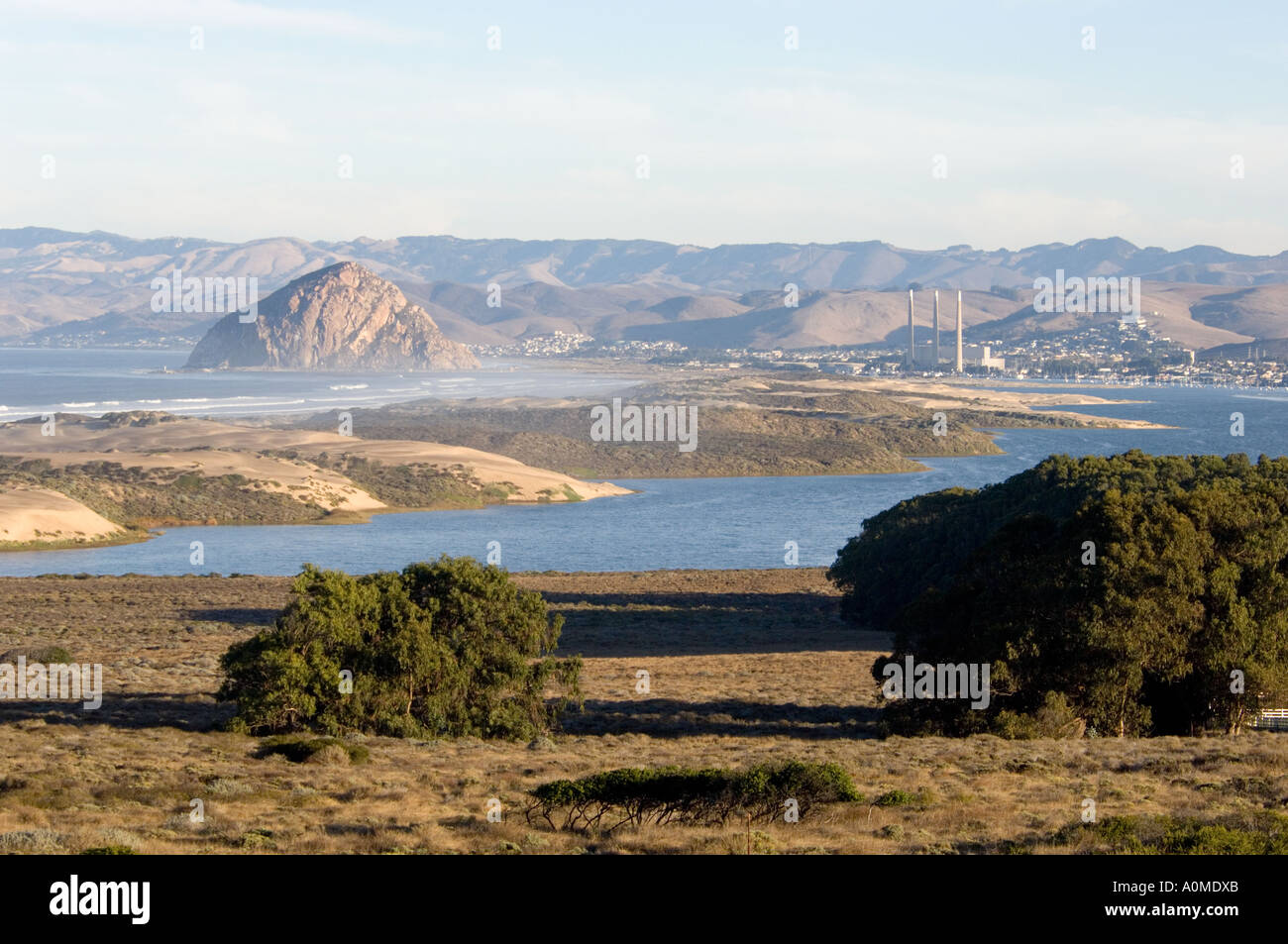 Morro rock birds hi-res stock photography and images - Alamy