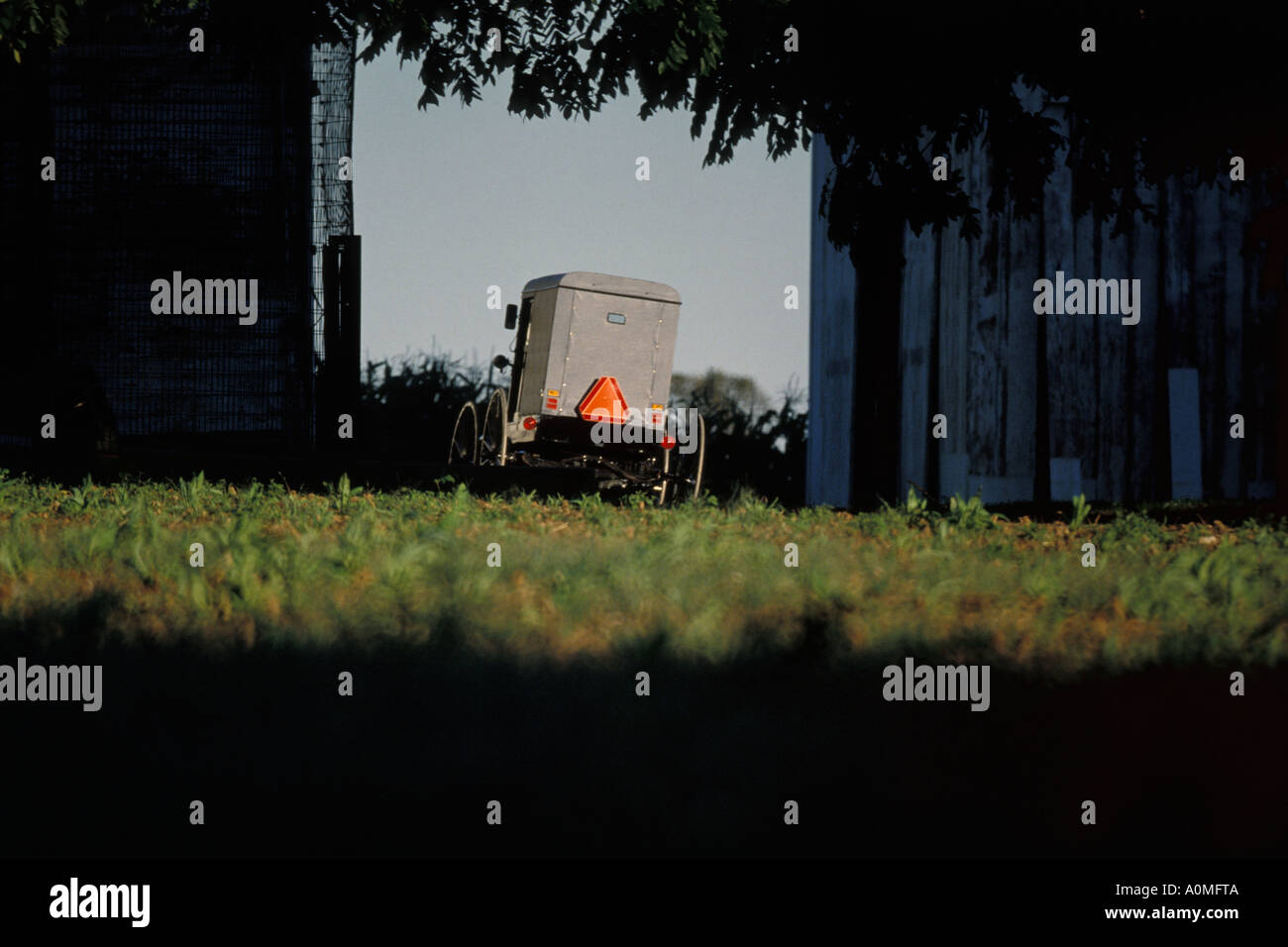 1 one amish buggy w triangle safety reflector between two barns copy ...