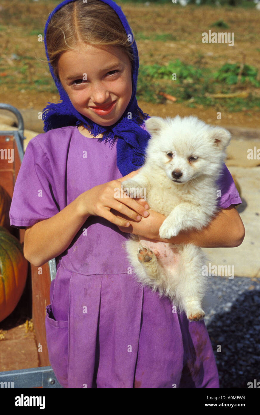 Amish boy with dog hi-res stock photography and images - Alamy