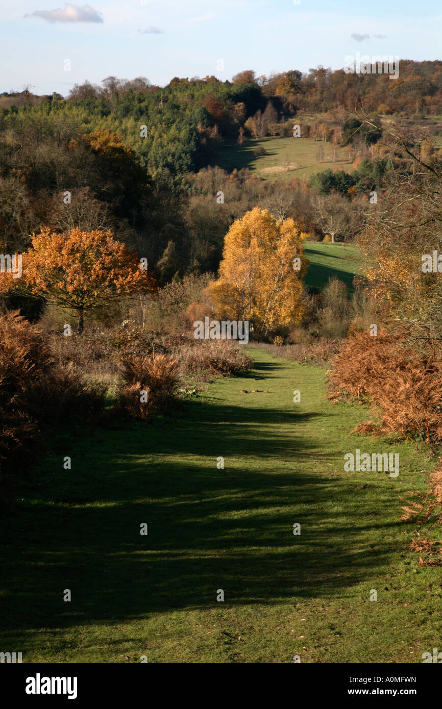 Autumn Landscape Headley Heath Surrey England Stock Photo - Alamy