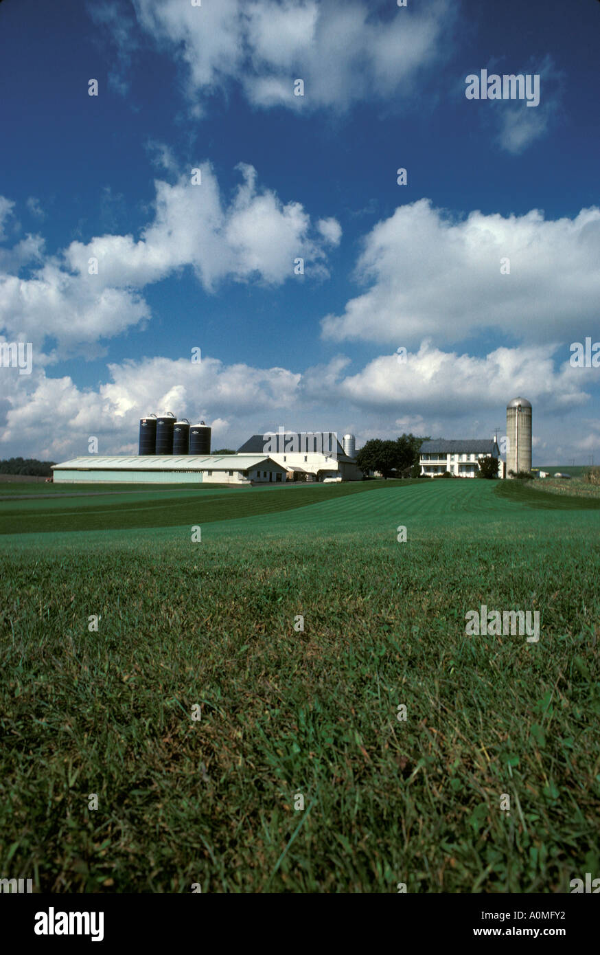 idyllic farm house barn silo landscape corn field meadow blue sky white ...