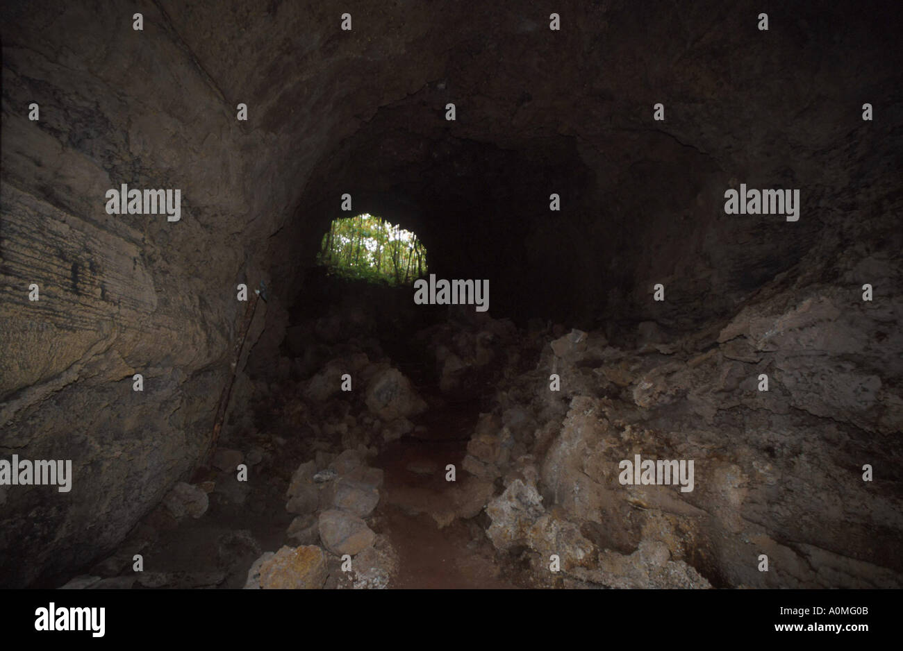 Volcano cave galapagos hi-res stock photography and images - Alamy