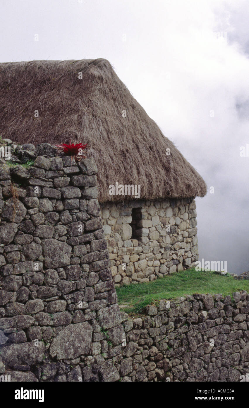 Stone hut with thatched roof at Machu Picchu in Peru Stock Photo - Alamy