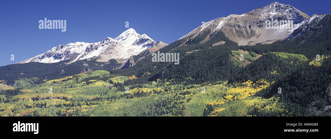 Coniferous and deciduous trees hi-res stock photography and images - Alamy
