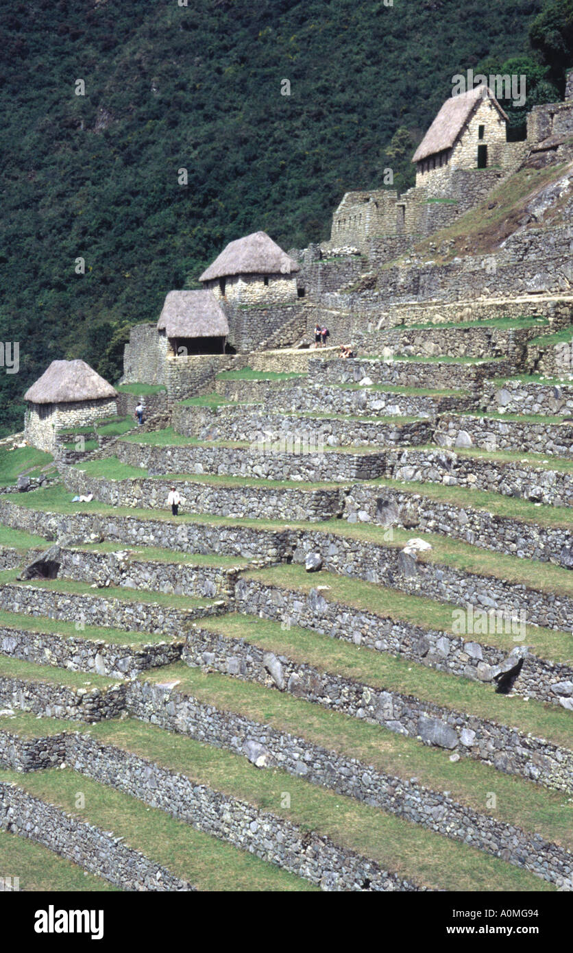 The Agricultural Terraces at the Inca city of Machu Picchu in Peru ...