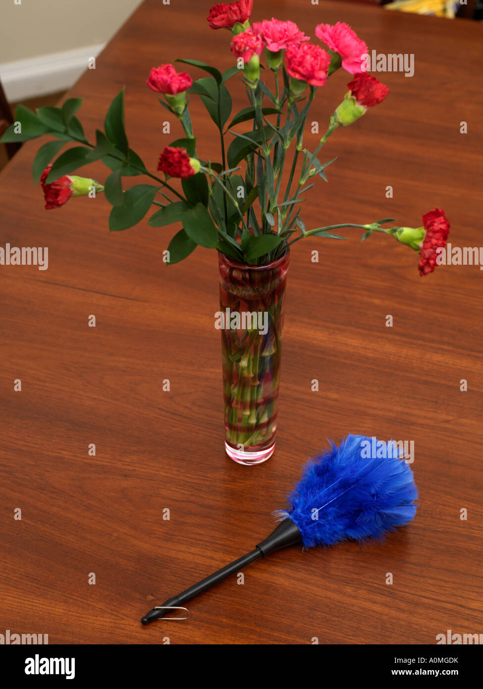 Vase of Flowers & Blue Feather Duster on a Polished Table Stock Photo ...