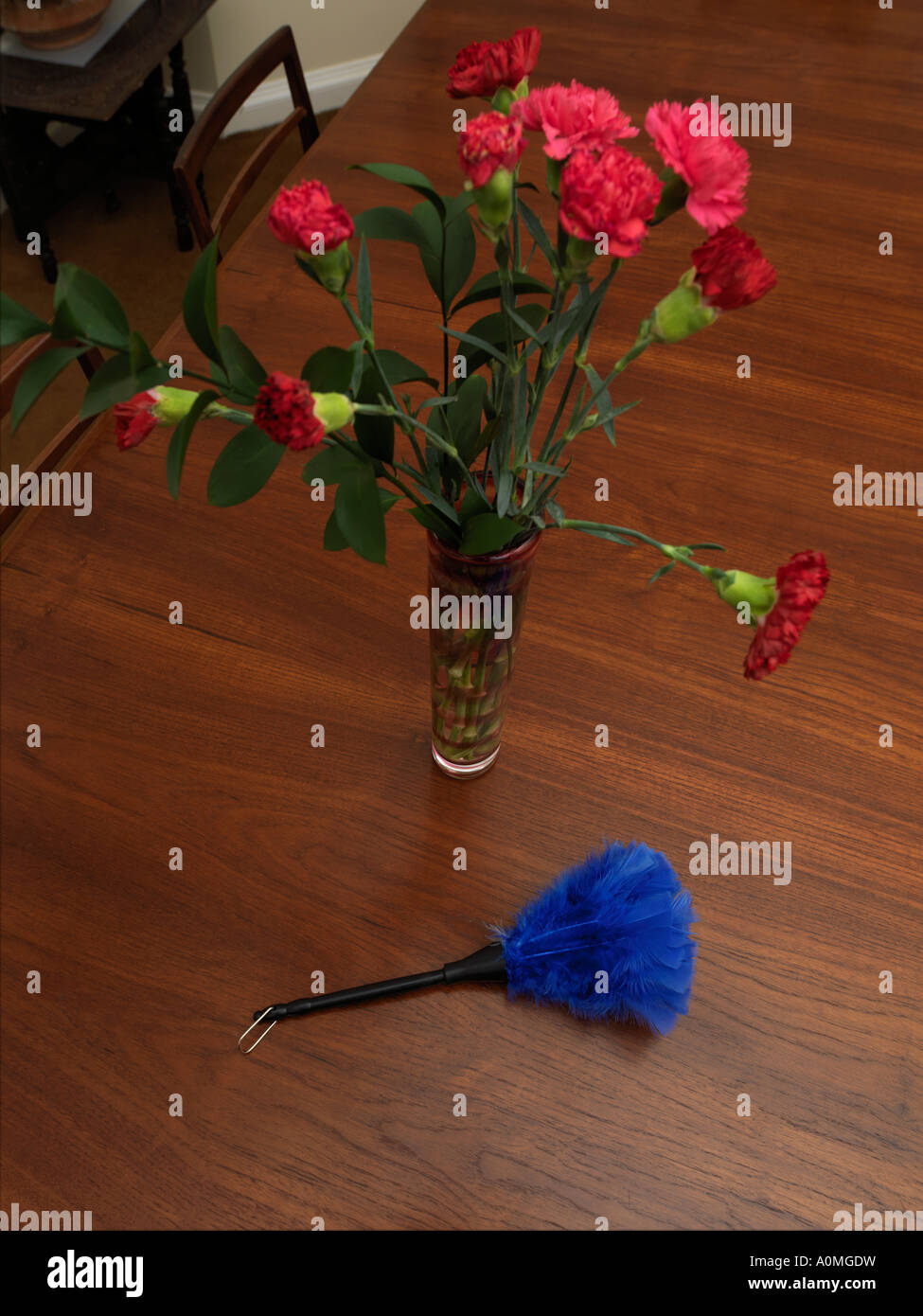 Vase of Flowers & Blue Feather Duster on a Polished Table Stock Photo ...