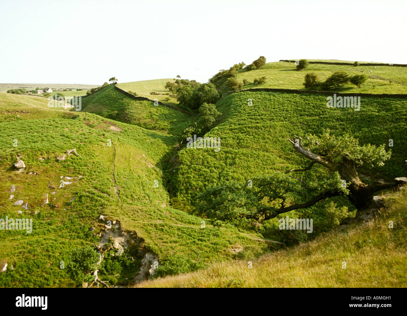 Disley hi-res stock photography and images - Alamy