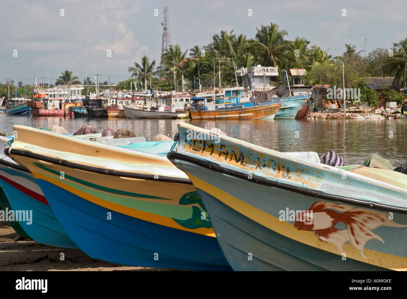 Fishing boats. Negombo Lagoon, Negombo Old Town, Sri Lanka Stock Photo ...