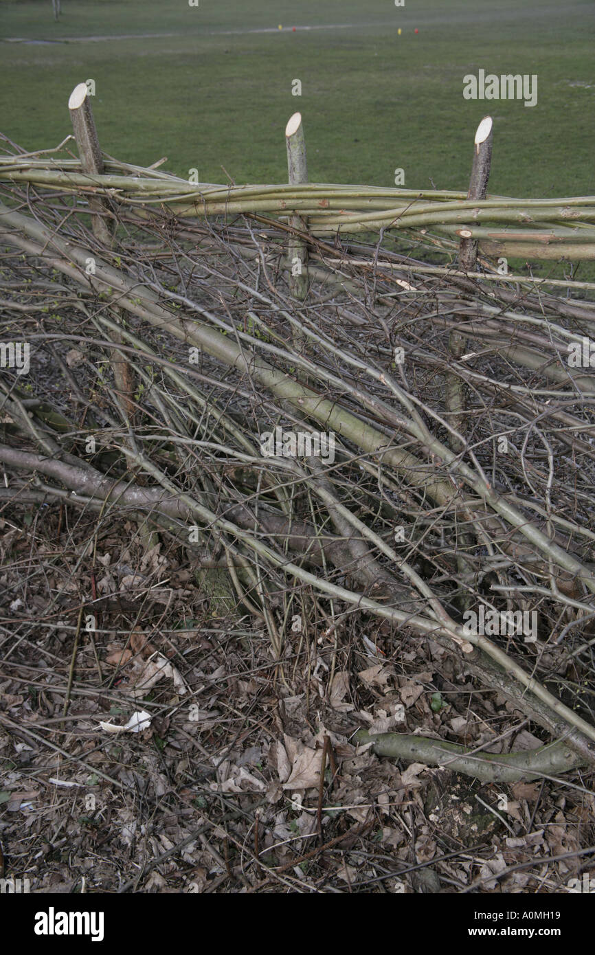 Midland style hi-res stock photography and images - Alamy